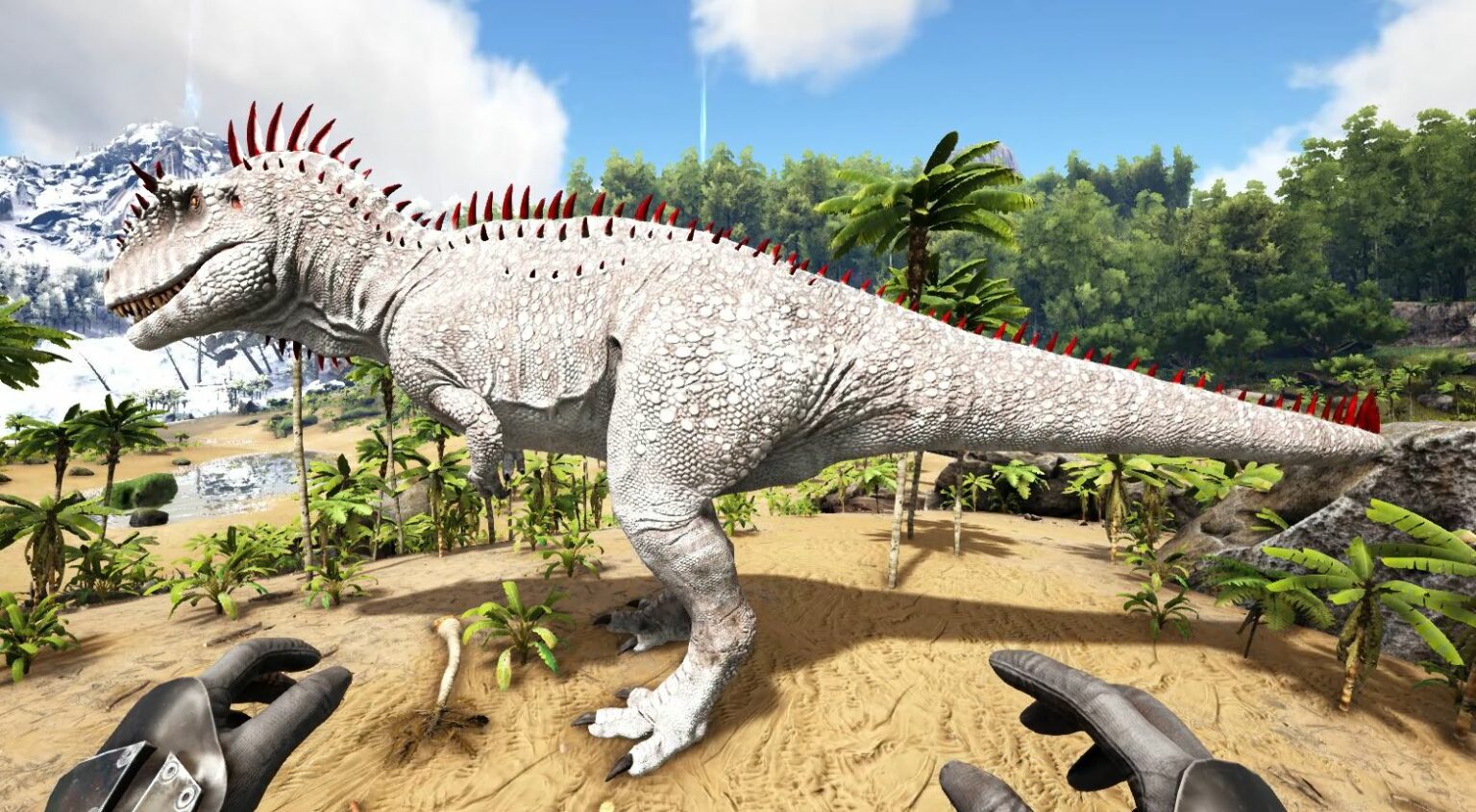 Carcharodontosaurus - Taming, Feeding, Breeding and what to level